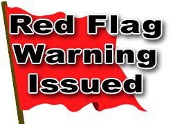 Red Flag? – The Dolphin Seer